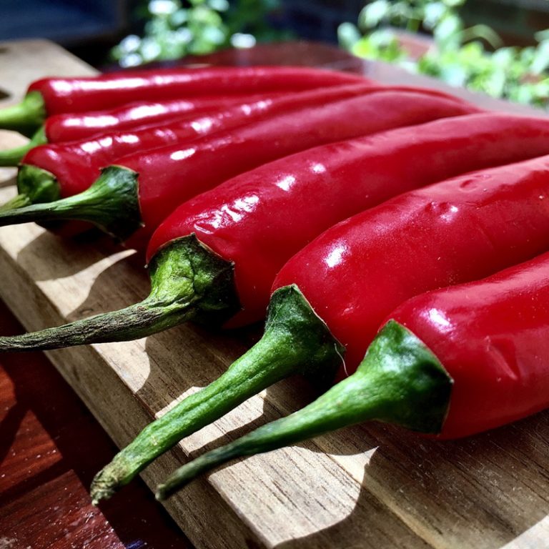 Rode lombok - Tante Lin